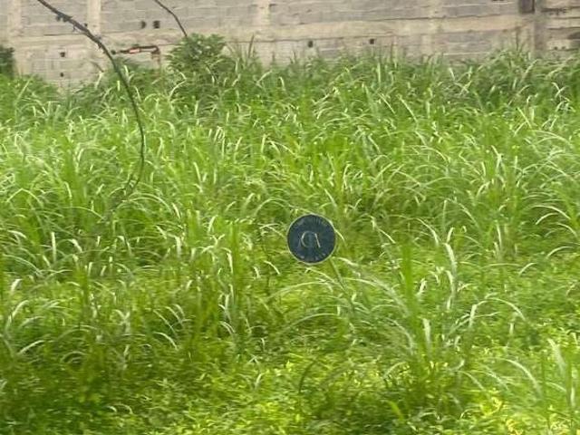 Terreno / Lote para Venda em São Paulo/SP Paraíso do Morumbi
