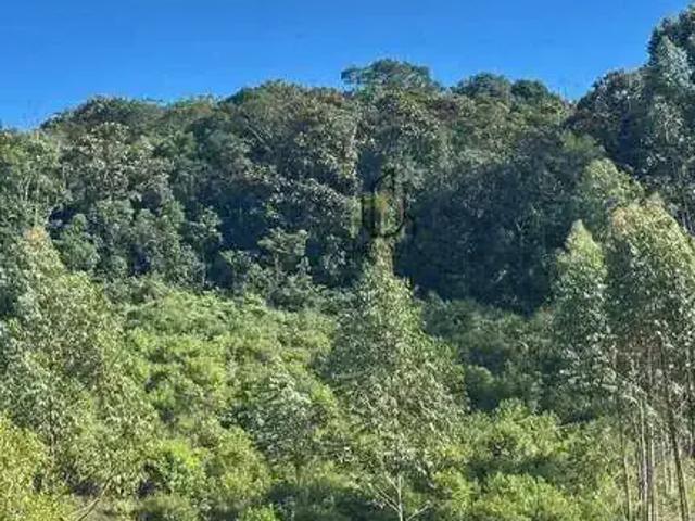Terreno / Lote para Venda em São Paulo/SP Parelheiros
