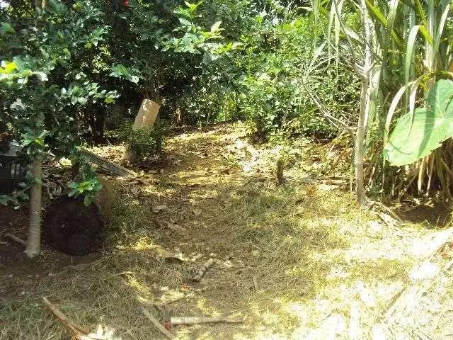 Terreno / Lote para Venda em São Paulo/SP Parque Boturussu