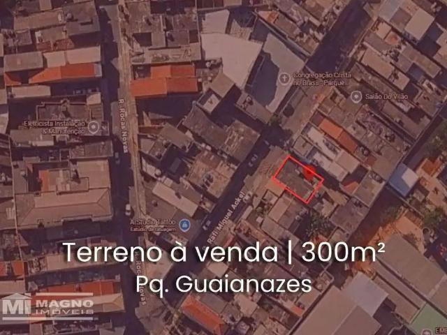 Terreno / Lote para Venda em São Paulo/SP Parque Guaianazes