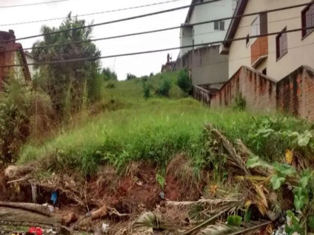 Terreno / Lote para Venda em São Paulo/SP Parque dos Príncipes