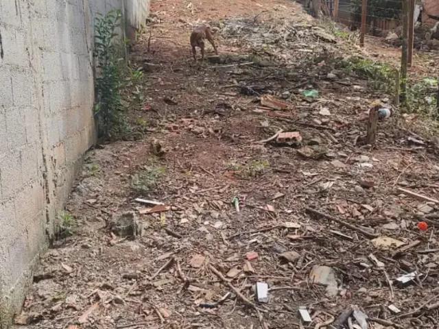 Terreno / Lote para Venda em São Paulo/SP Parque das Cerejeiras
