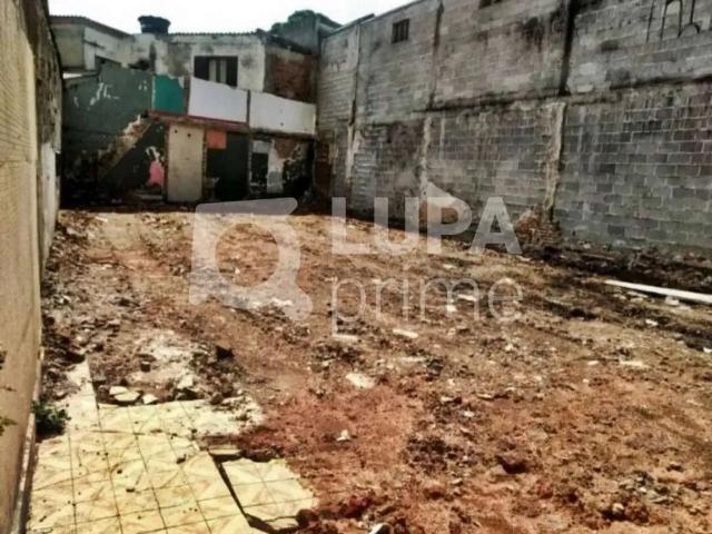 Terreno / Lote para Venda em São Paulo/SP Parque Edu Chaves