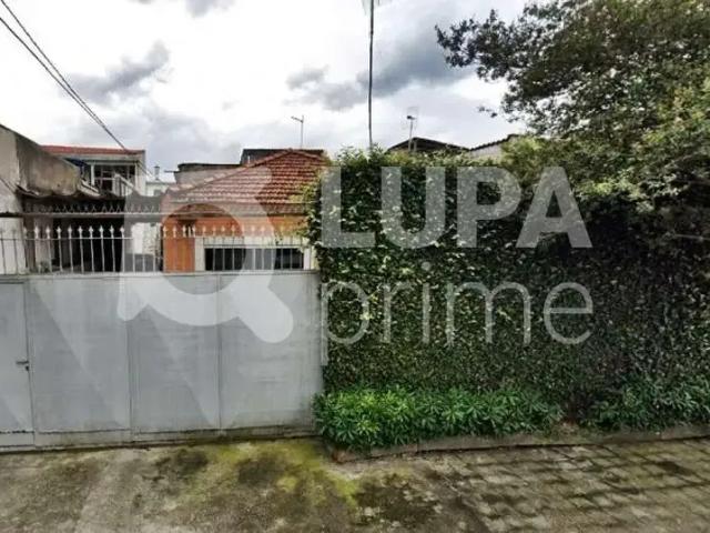 Terreno / Lote para Venda em São Paulo/SP Parque Edu Chaves
