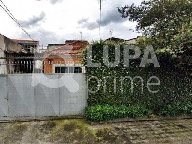 Terreno / Lote para Venda em São Paulo/SP Parque Edu Chaves