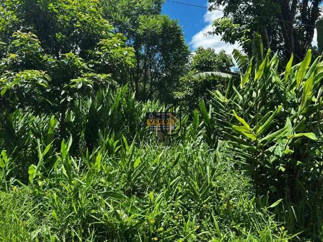 Terreno / Lote para Venda em São Paulo/SP Parque Florestal
