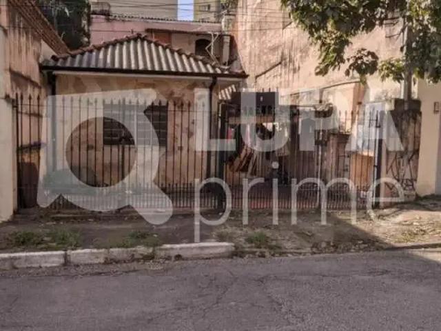 Terreno / Lote para Venda em São Paulo/SP Parque Mandaqui