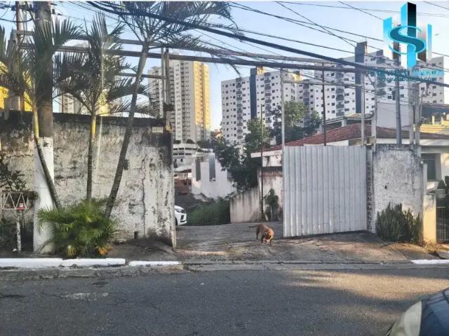 Terreno / Lote para Venda em São Paulo/SP Parque Mandaqui