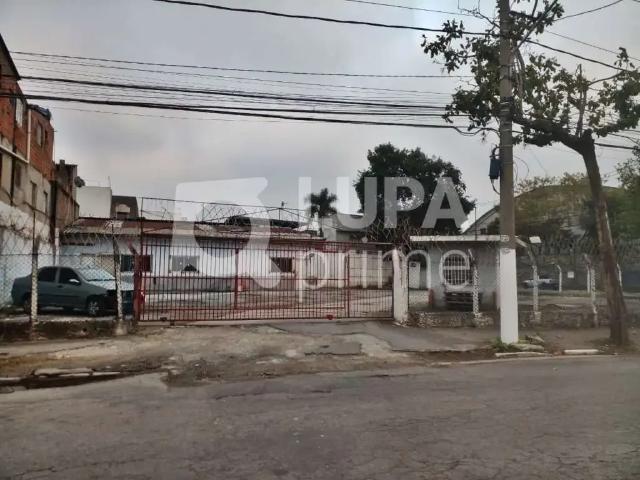Terreno / Lote para Venda em São Paulo/SP Parque Novo Mundo