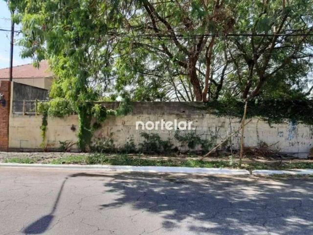 Terreno / Lote para Venda em São Paulo/SP Parque São Domingos