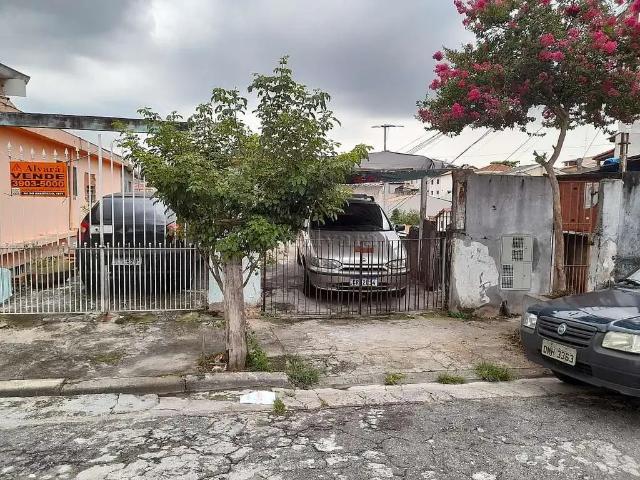 Terreno / Lote para Venda em São Paulo/SP Parque São Domingos