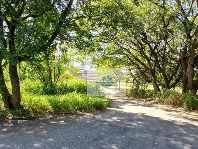 Terreno / Lote para Venda em São Paulo/SP Parque São Domingos