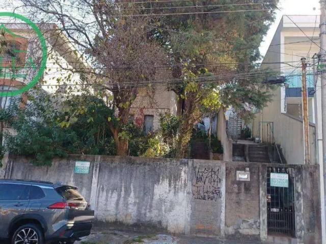 Terreno / Lote para Venda em São Paulo/SP Parque São Domingos