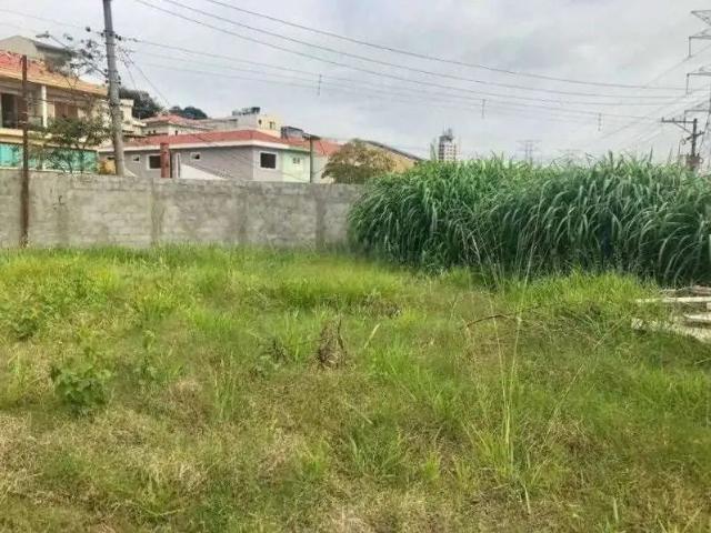 Terreno / Lote para Venda em São Paulo/SP Parque São Domingos