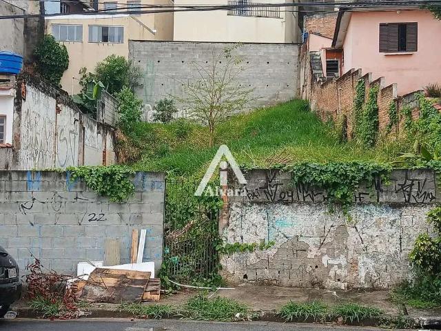 Terreno / Lote para Venda em São Paulo/SP Parque São Domingos
