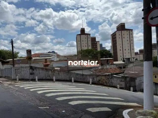Terreno / Lote para Venda em São Paulo/SP Parque São Luís