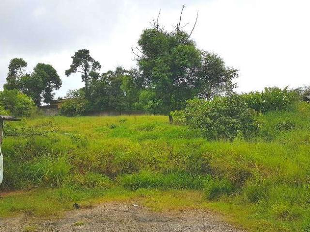 Terreno / Lote para Venda em São Paulo/SP Parque São Rafael