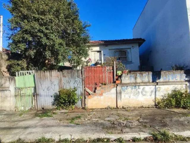 Terreno / Lote para Venda em São Paulo/SP Parque São Rafael