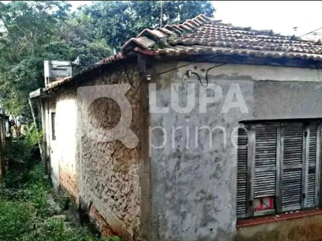 Terreno / Lote para Venda em São Paulo/SP Parque Peruche