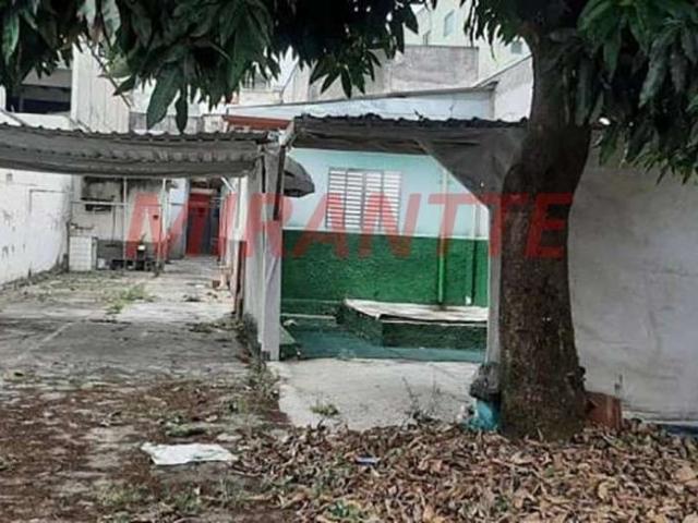 Terreno / Lote para Venda em São Paulo/SP Parque Peruche