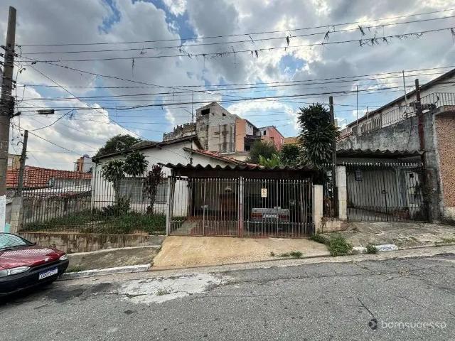 Terreno / Lote para Venda em São Paulo/SP Parque Tomas Saraiva