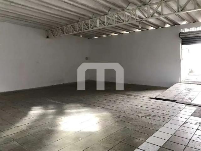 Terreno / Lote para Venda em São Paulo/SP Penha