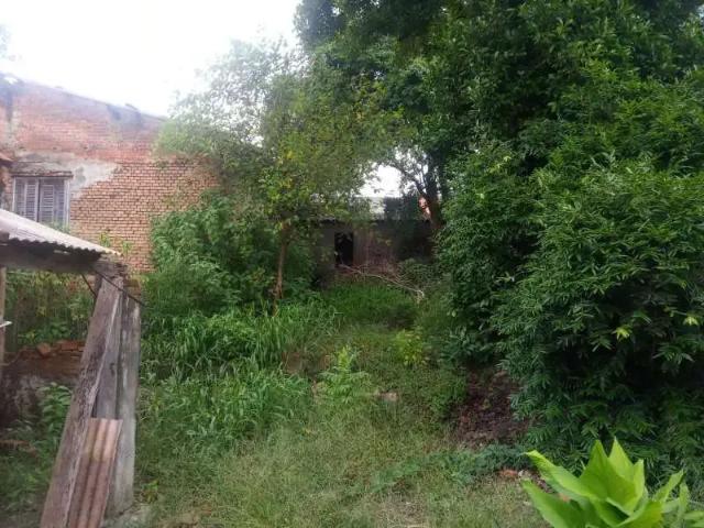 Terreno / Lote para Venda em São Paulo/SP Penha