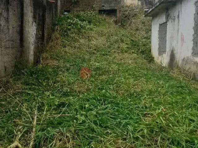 Terreno / Lote para Venda em São Paulo/SP Penha