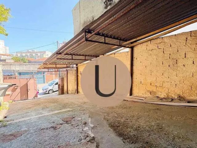 Terreno / Lote para Venda em São Paulo/SP Penha