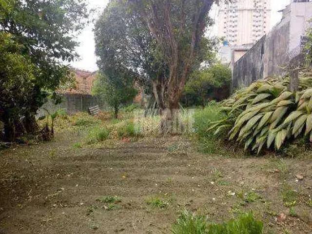 Terreno / Lote para Venda em São Paulo/SP Penha