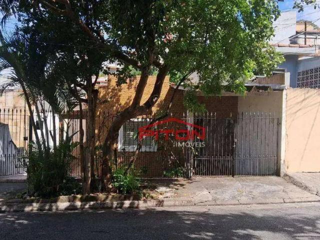 Terreno / Lote para Venda em São Paulo/SP Penha