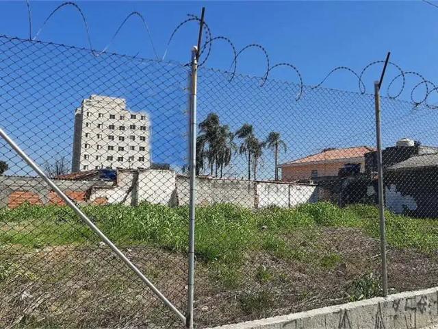 Terreno / Lote para Venda em São Paulo/SP Pedreira