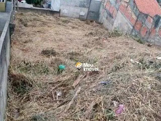Terreno / Lote para Venda em São Paulo/SP Pirituba