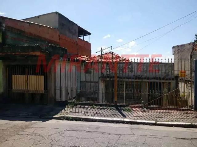 Terreno / Lote para Venda em São Paulo/SP Pirituba