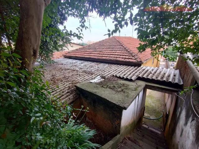Terreno / Lote para Venda em São Paulo/SP Pirituba