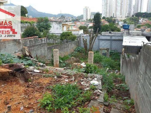 Terreno / Lote para Venda em São Paulo/SP Pirituba