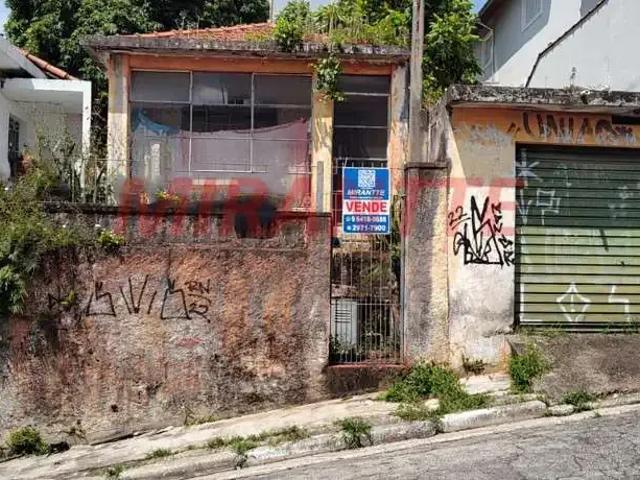 Terreno / Lote para Venda em São Paulo/SP Pirituba