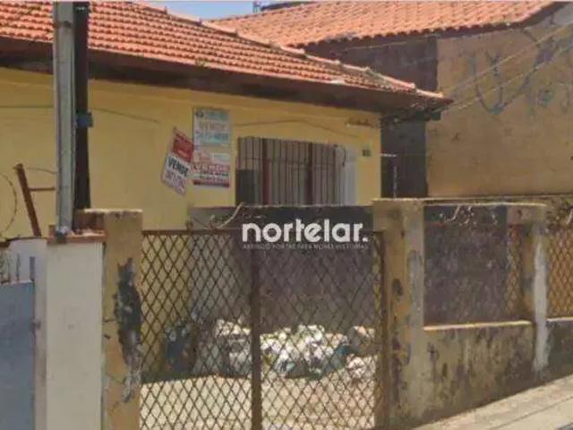 Terreno / Lote para Venda em São Paulo/SP Pirituba