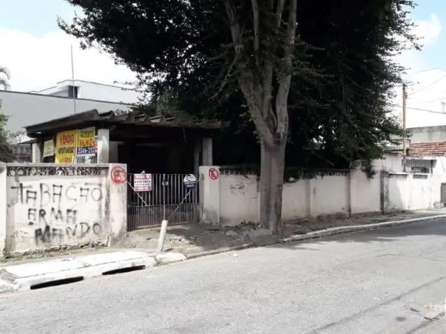 Terreno / Lote para Venda em São Paulo/SP Quinta da Paineira