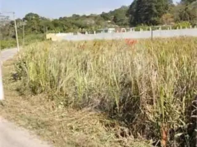 Terreno / Lote para Venda em São Paulo/SP Recanto Campo Belo