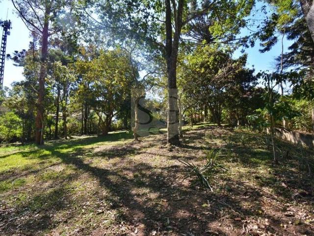 Terreno / Lote para Venda em São Paulo/SP Riviera Paulista