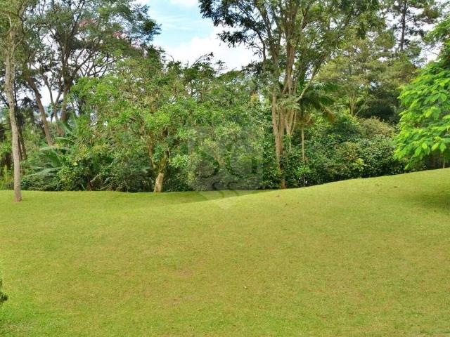 Terreno / Lote para Venda em São Paulo/SP Riviera Paulista