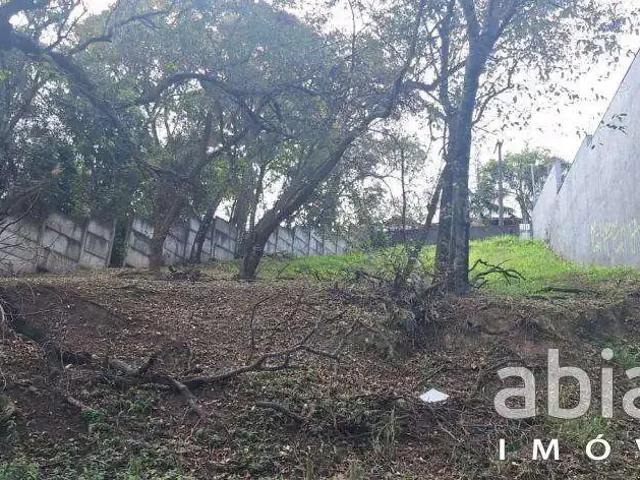 Terreno / Lote para Venda em São Paulo/SP Rolinópolis