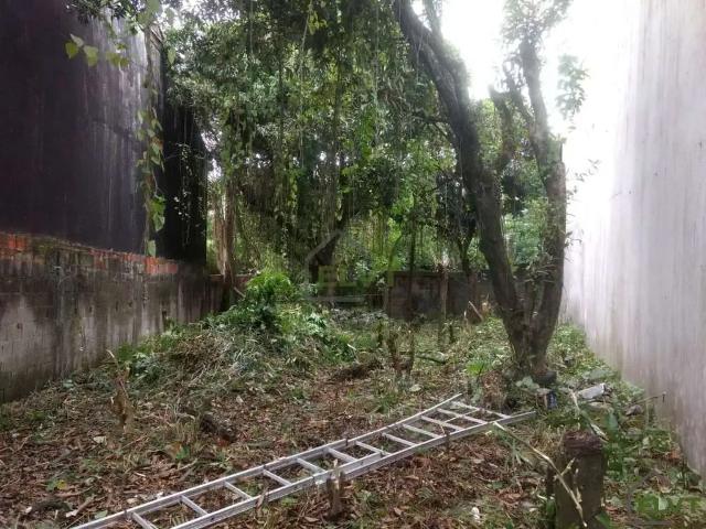Terreno / Lote para Venda em São Paulo/SP Rolinópolis