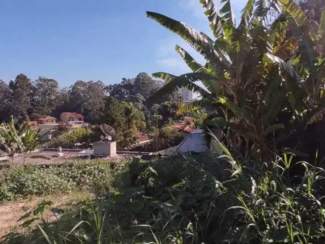Terreno / Lote para Venda em São Paulo/SP Rolinópolis