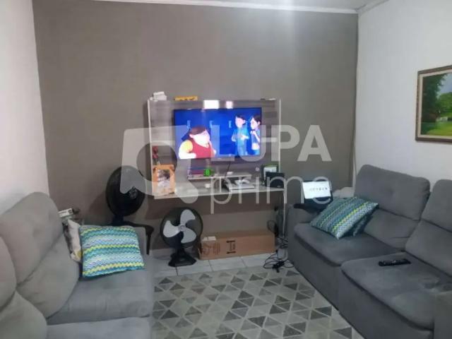 Terreno / Lote para Venda em São Paulo/SP Santa Teresinha 3 Quartos