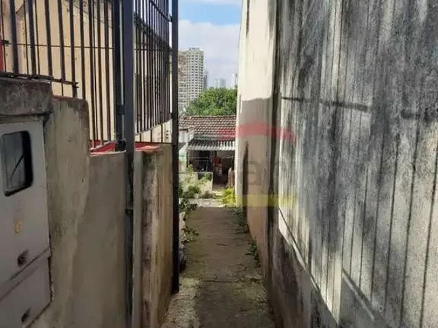 Terreno / Lote para Venda em São Paulo/SP Santa Teresinha