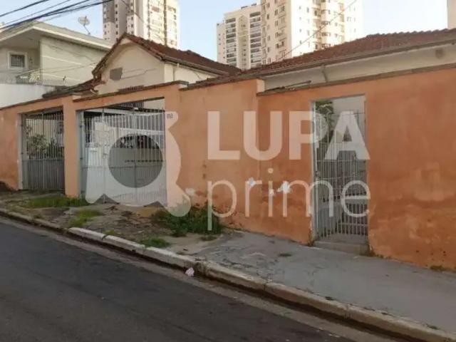 Terreno / Lote para Venda em São Paulo/SP Santa Teresinha