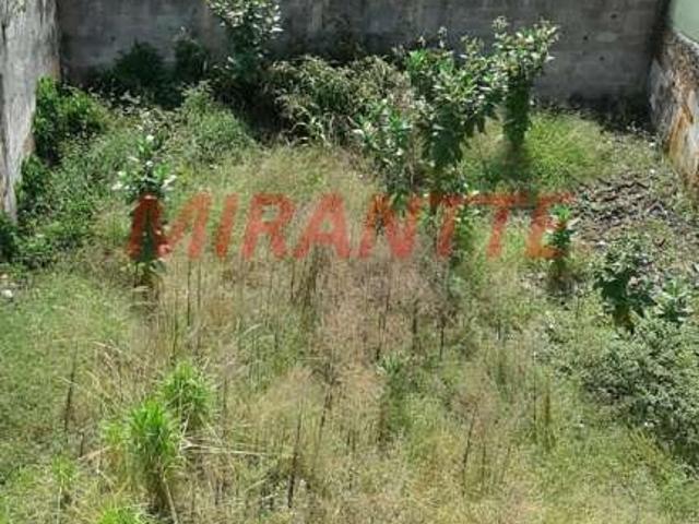 Terreno / Lote para Venda em São Paulo/SP Santa Teresinha