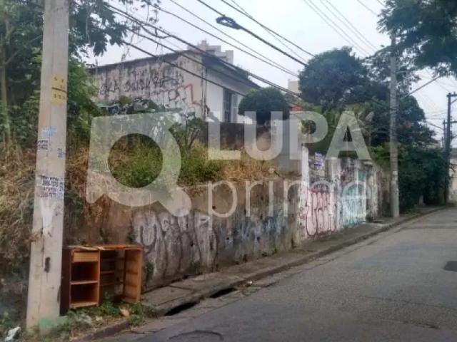 Terreno / Lote para Venda em São Paulo/SP Santa Teresinha